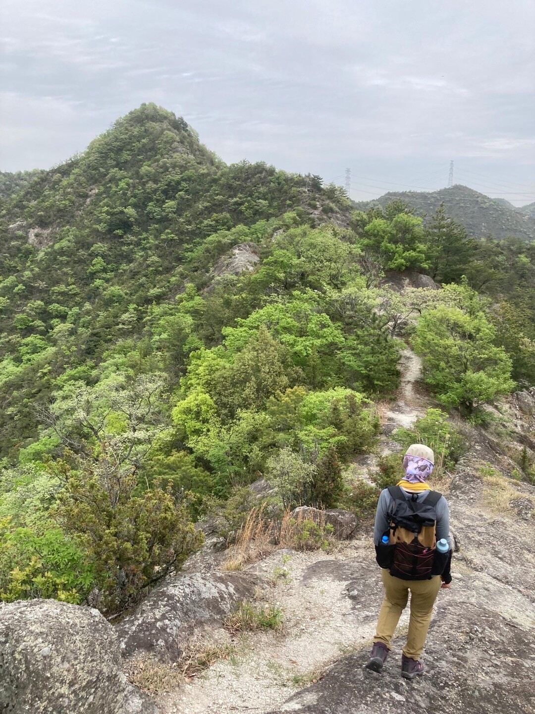 新緑🌱眩しい斉藤山・桶居山 / nyaomaskさんの小富士山・御旅山・高坪山の活動データ | YAMAP / ヤマップ