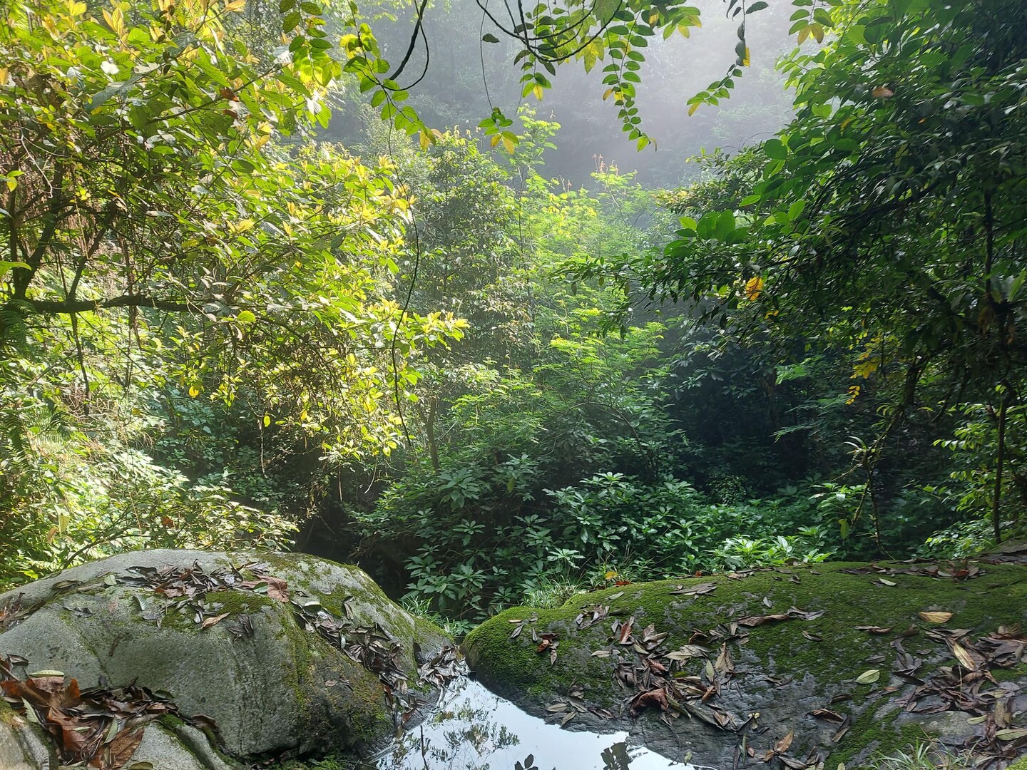 サラーク2 登山口確認 （DNF） / OMUさんのサラーク山の活動データ | YAMAP / ヤマップ