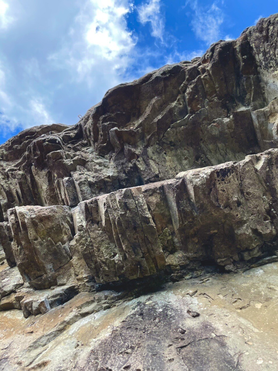 城山-2021-02-14 / I am AKOさんの金冠山・達磨山・葛城山の活動データ | YAMAP / ヤマップ