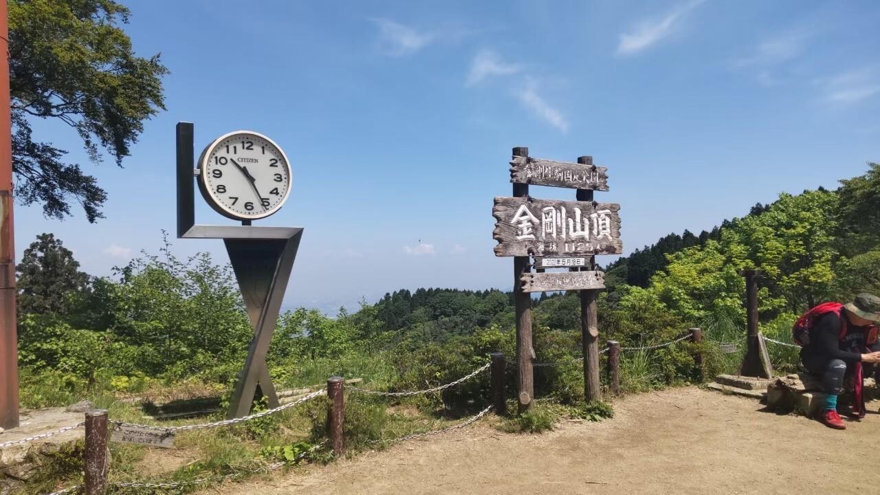 2022/5/18 金剛山 『アオモミ... / kokeさんのモーメント | YAMAP / ヤマップ