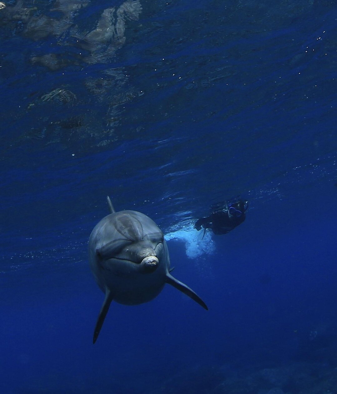 山もいいけど、海もいいぞ〜🤣🤣 やっ... / 山girl Megさんのモーメント | YAMAP / ヤマップ