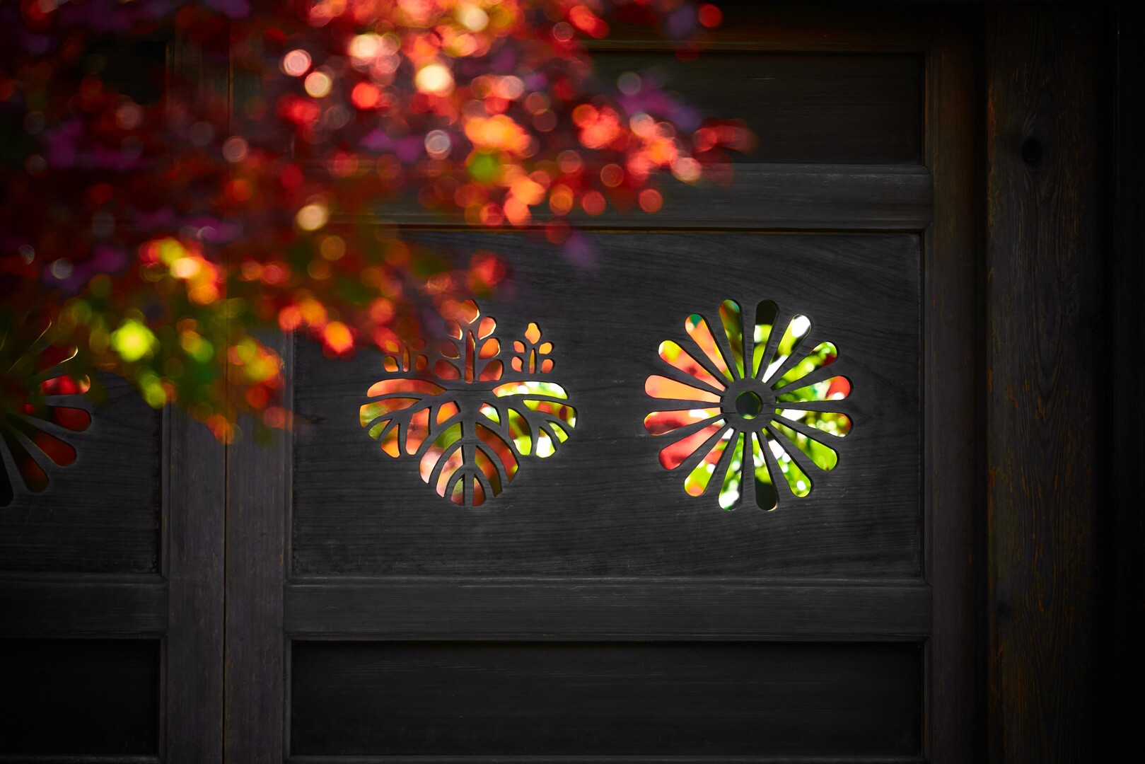 永保寺🍁と見行山⛰️五宝の滝も歩いてみる / estudioさんの見行山の活動データ | YAMAP / ヤマップ