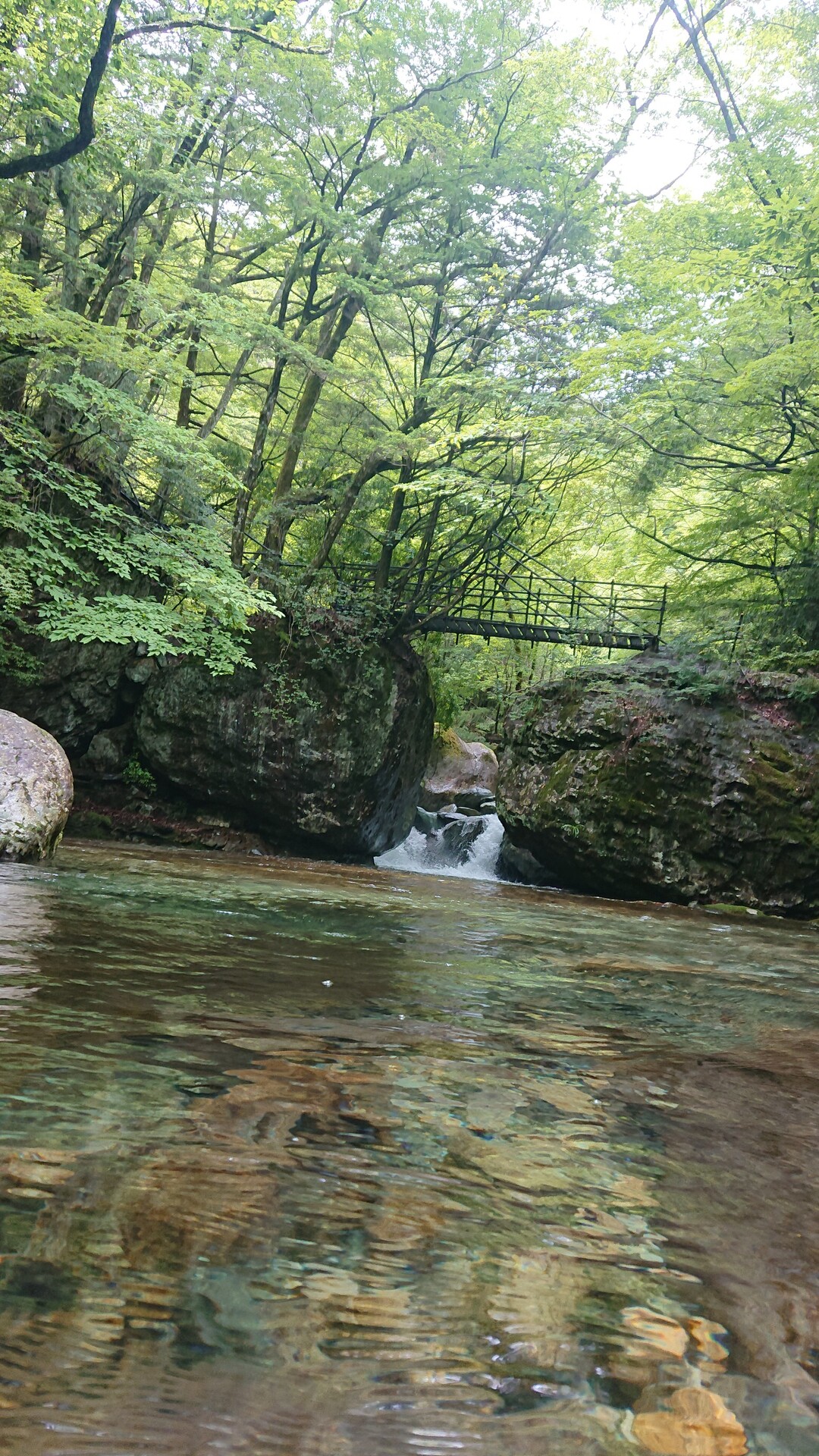 川上渓谷へ / 5959さんの傾山の活動データ | YAMAP / ヤマップ