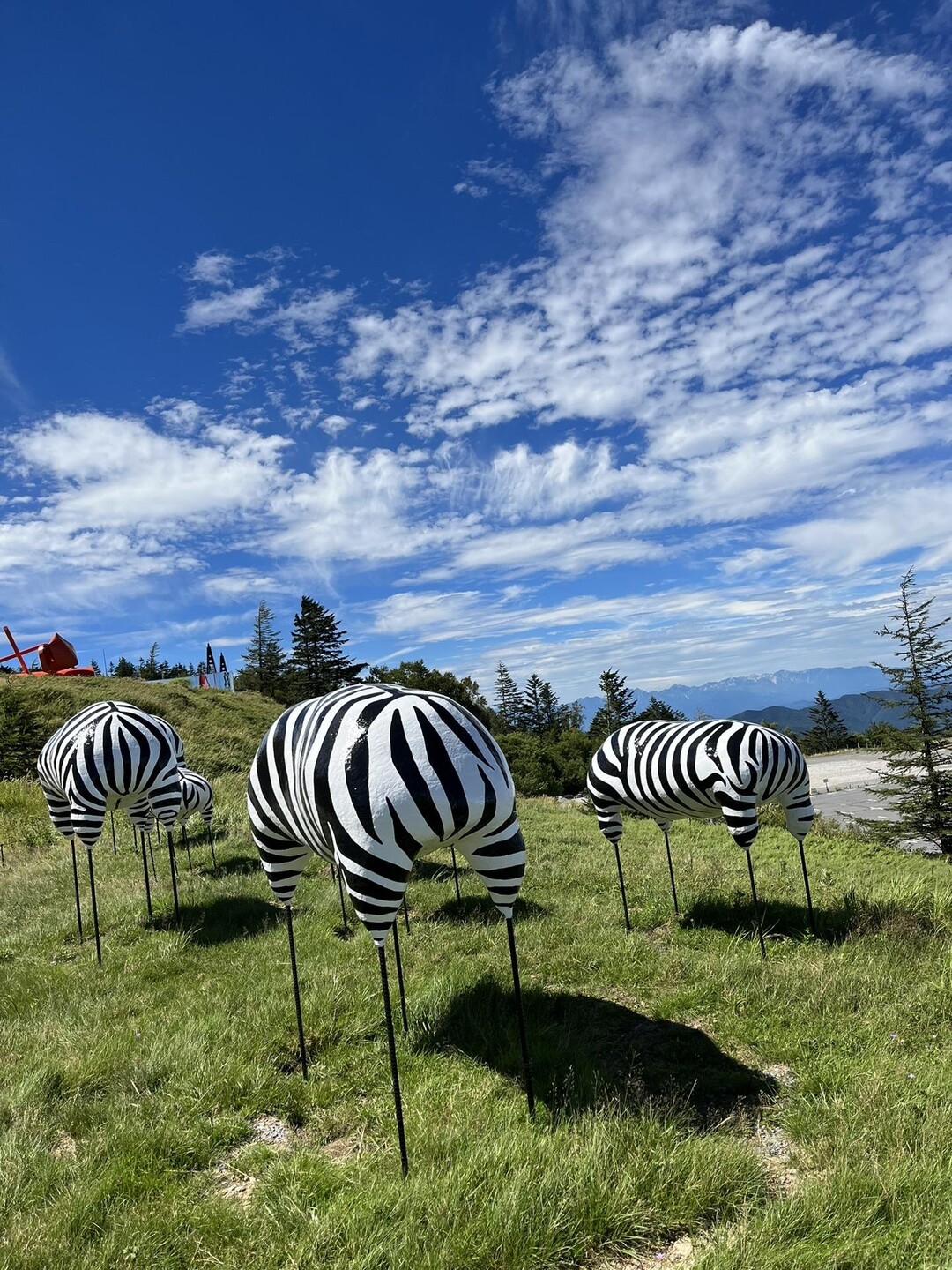 牛伏山・美ヶ原（王ヶ頭） / kaz♡mealさんの美ヶ原の活動データ | YAMAP / ヤマップ