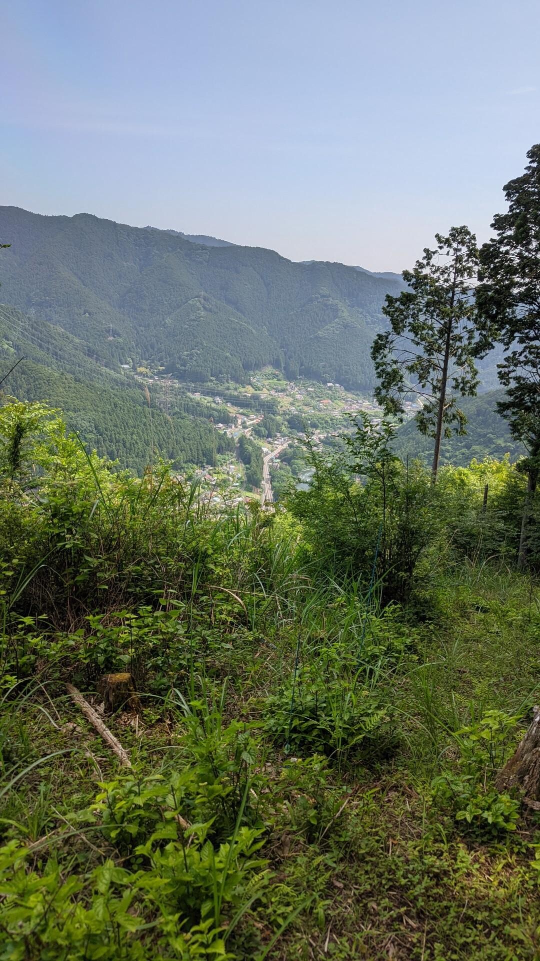【高峰山・日の出山】またやっちまった😅 / manchildさんの大岳山・御岳山・御前山の活動データ | YAMAP / ヤマップ