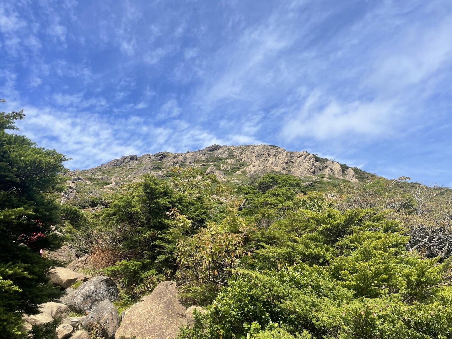 早池峰山 岩手遠征その1 / YOUKOWさんの早池峰山・薬師岳・鶏頭山の活動データ | YAMAP / ヤマップ