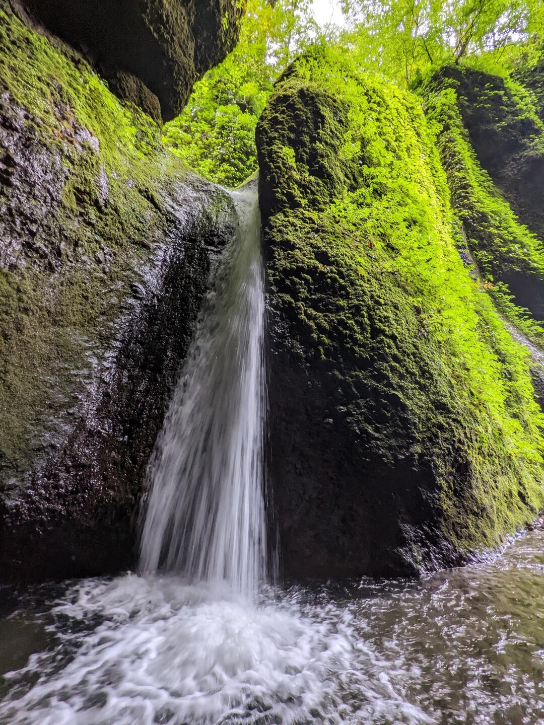Myシワガラの滝 / TAZさんの扇ノ山の活動データ | YAMAP / ヤマップ