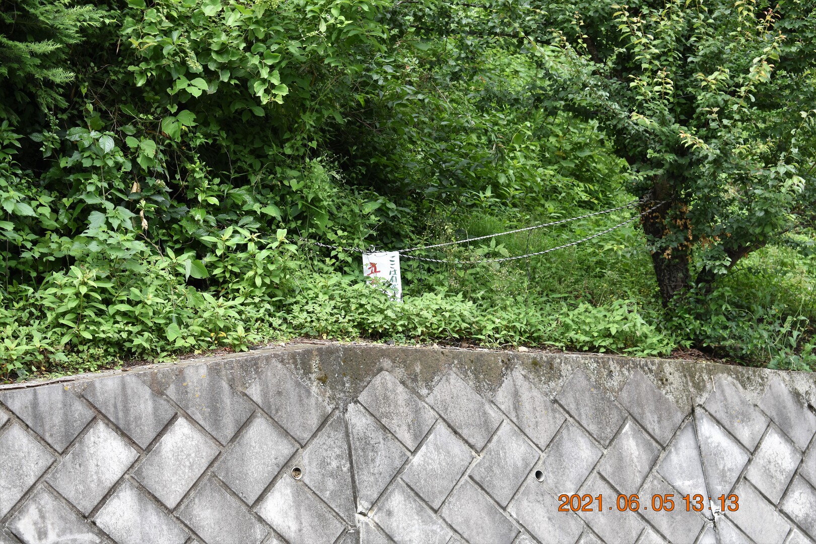 ピエール・HOSHIさんの投稿したフィールドメモ | YAMAP / ヤマップ