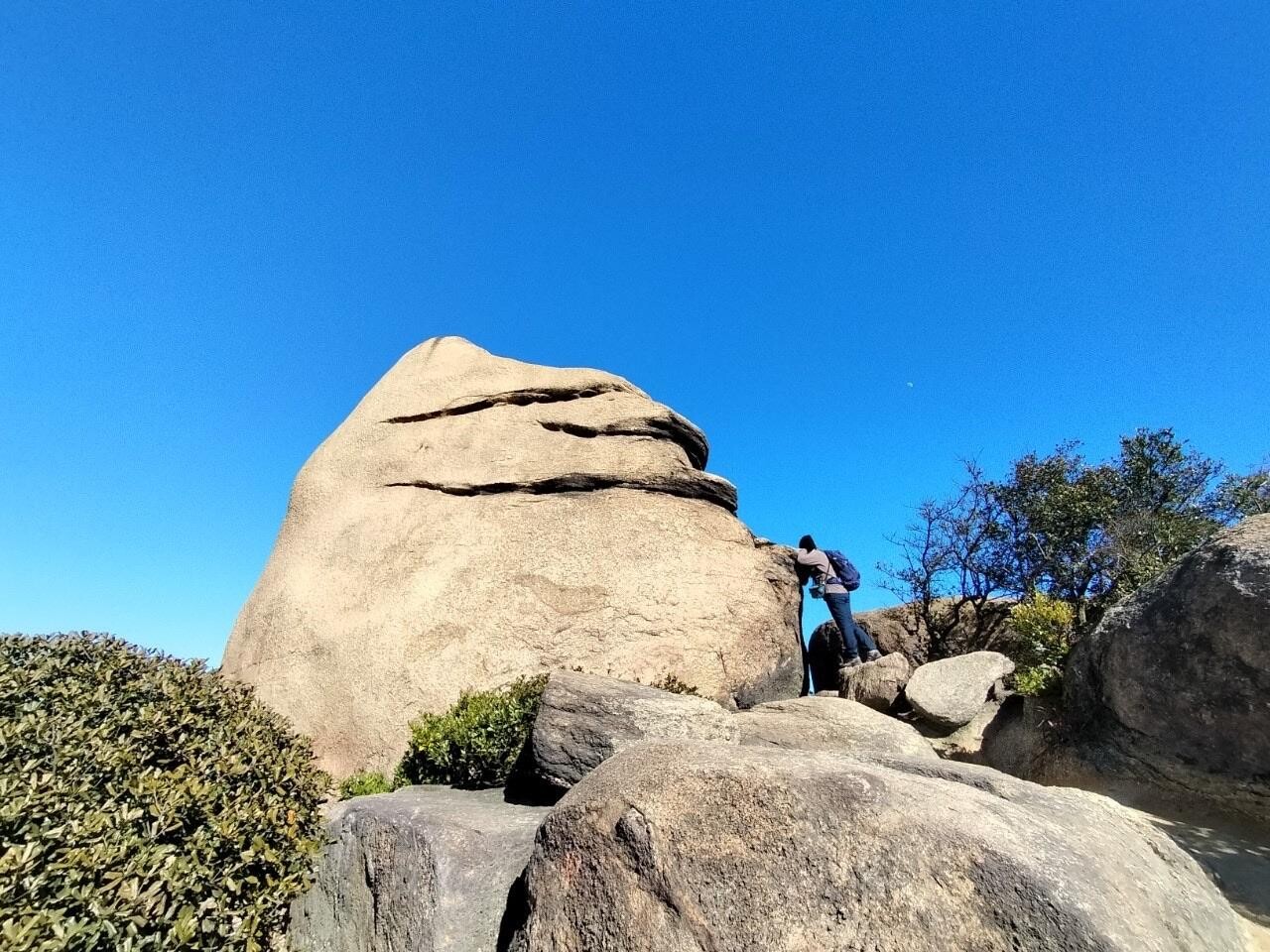 おかわりPart① 新割山（王子が岳）にこにこに会いに💕 / maruさんの王子が岳・神登山・臥竜山の活動データ | YAMAP / ヤマップ