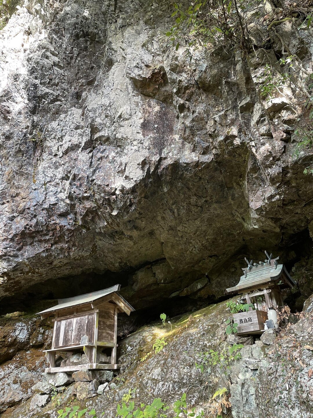 岩屋山・中の谷山・高見山 / なべ(ワンゲルOB)さんの岩屋山の活動データ | YAMAP / ヤマップ