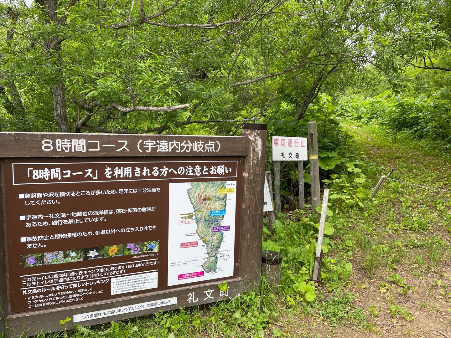 礼文島8時間コース-宇遠内分岐〜召国分岐 / chi chanさんのウォーキングの活動データ | YAMAP / ヤマップ