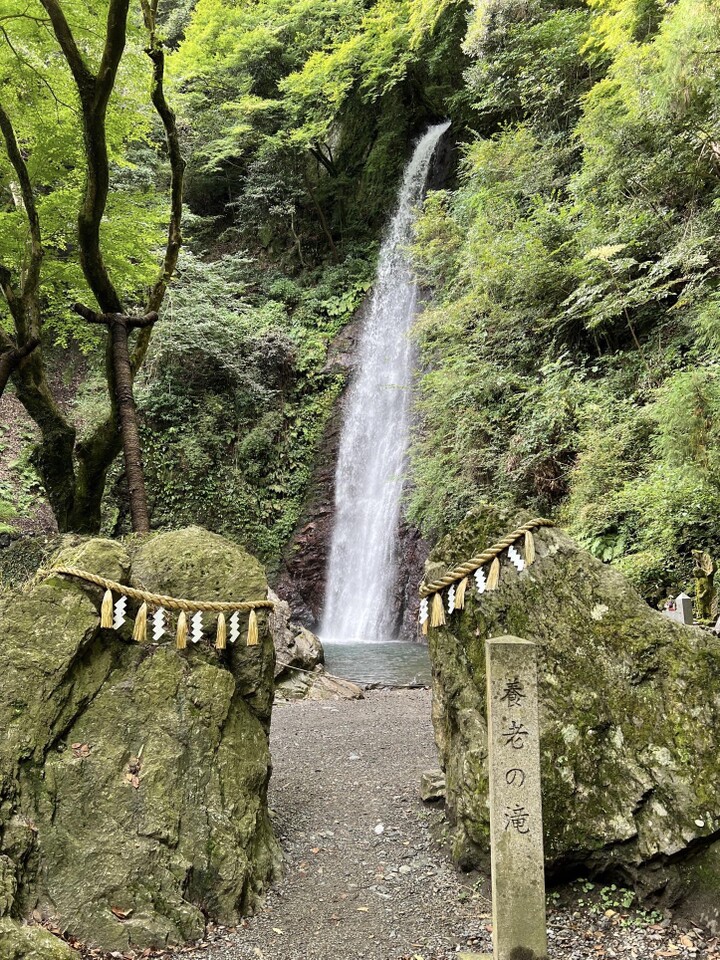 三方山-小倉山-養老山-北尾根P826峰 周回コースの地図・登山ルート・登山口情報 | YAMAP / ヤマップ