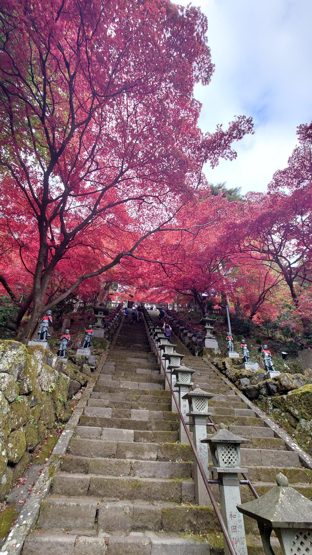 大山 / Sugi Sugiさんの大山の活動データ | YAMAP / ヤマップ