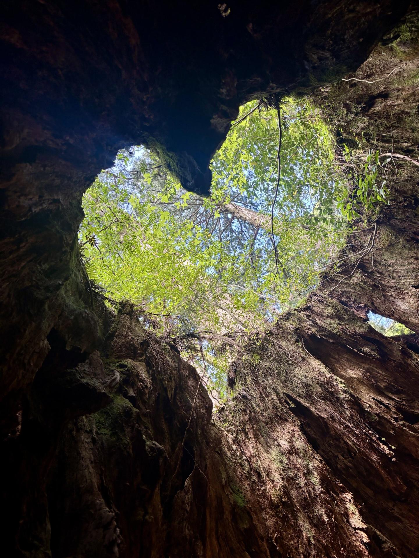 宮之浦岳縦走 / emmaさんの屋久島・宮之浦岳の活動日記 | YAMAP / ヤマップ