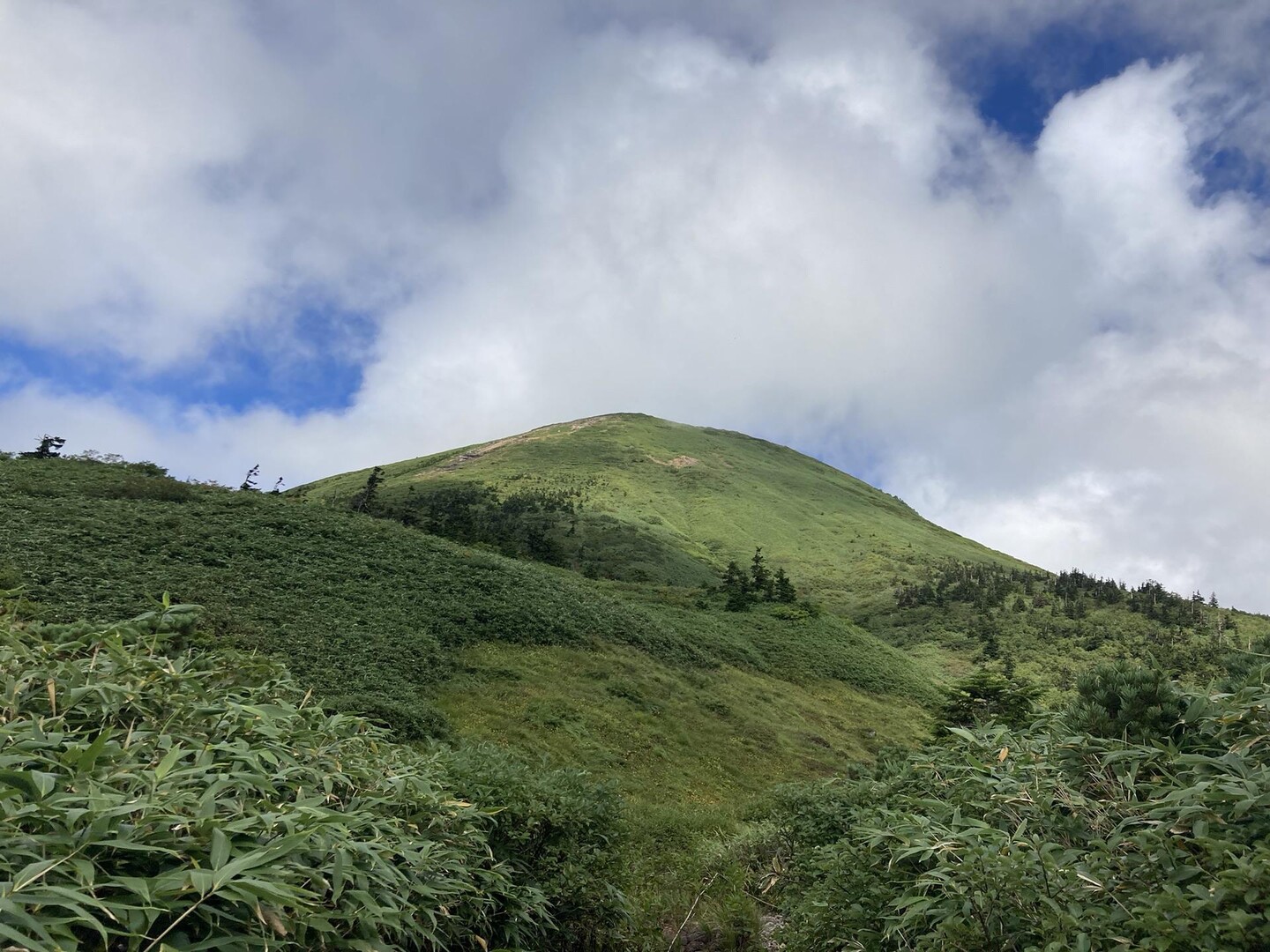 八甲田山 2023/9.10 / naokiさんの八甲田山・高田大岳・雛岳の活動データ | YAMAP / ヤマップ