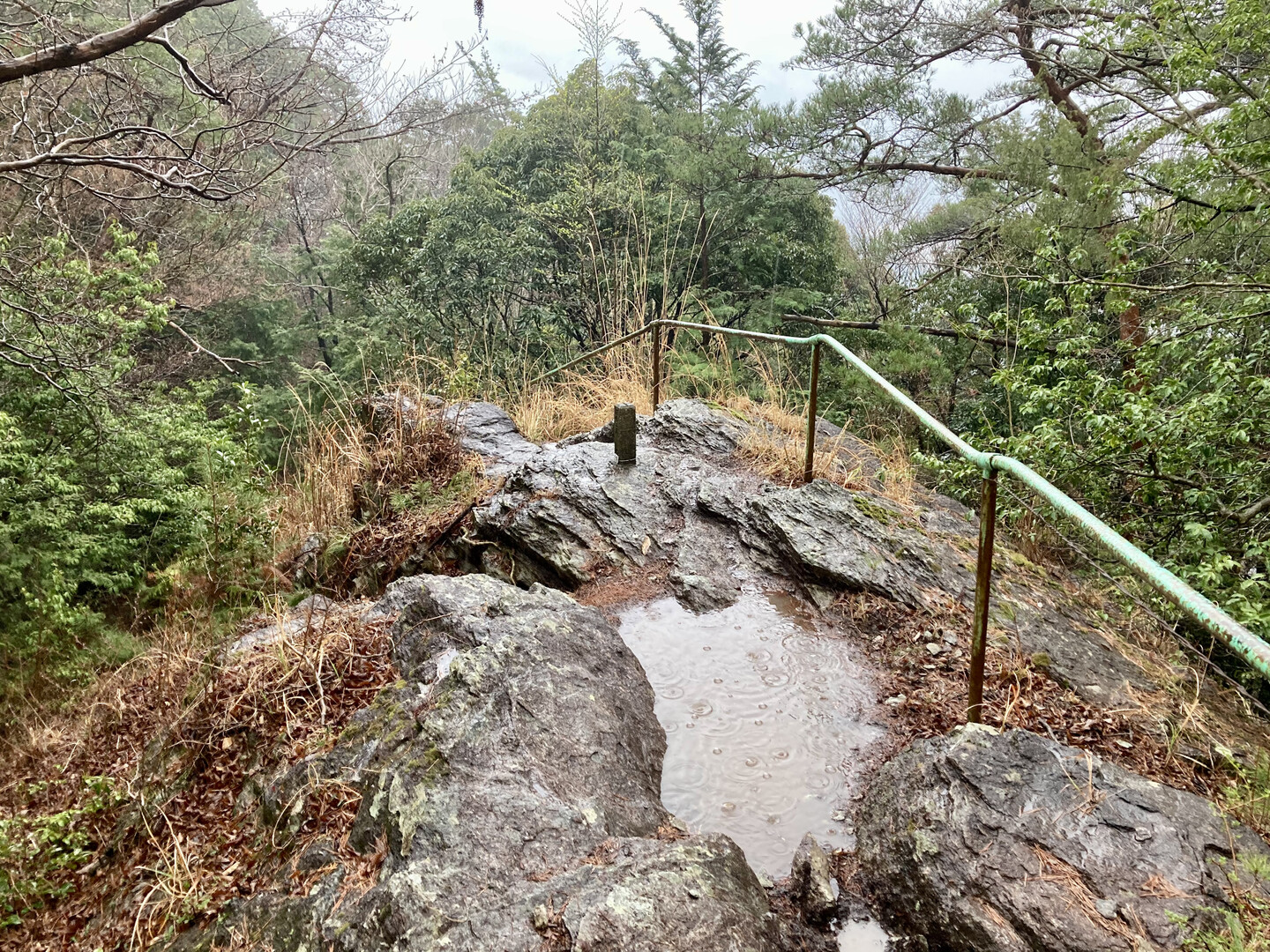 OSJ新城トレイル32K(2021) / しまさんの宇連山・鳳来寺山・岩古谷山の活動データ | YAMAP / ヤマップ