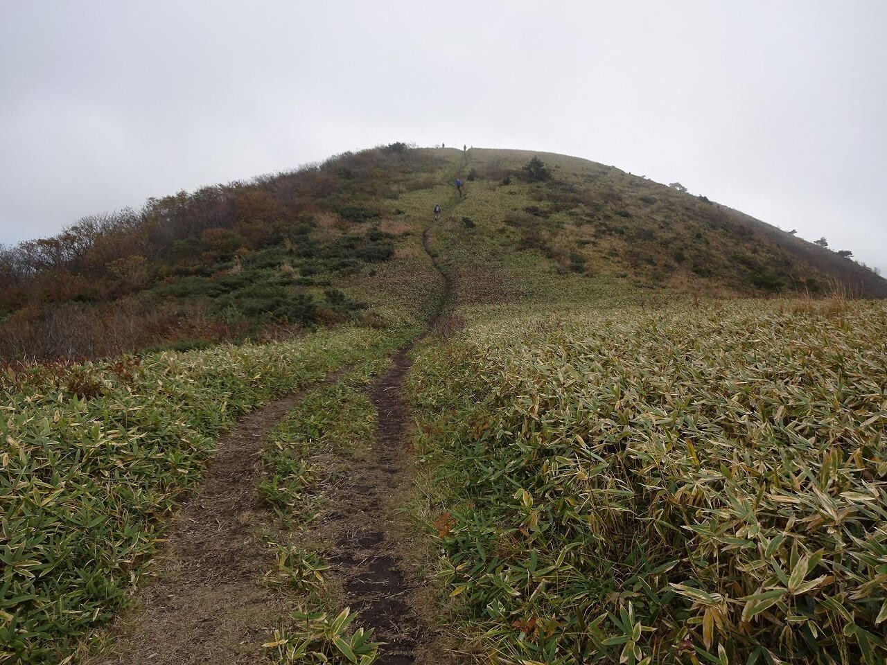 道後山 / harejiさんの道後山・岩樋山の活動データ | YAMAP / ヤマップ
