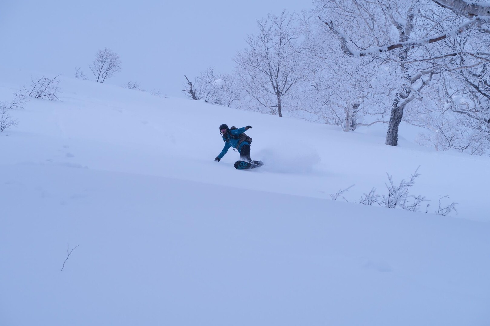 音江山BC 静かな森の中を（day2/3） / Seikoさんの音江山・沖里河山の活動データ | YAMAP / ヤマップ