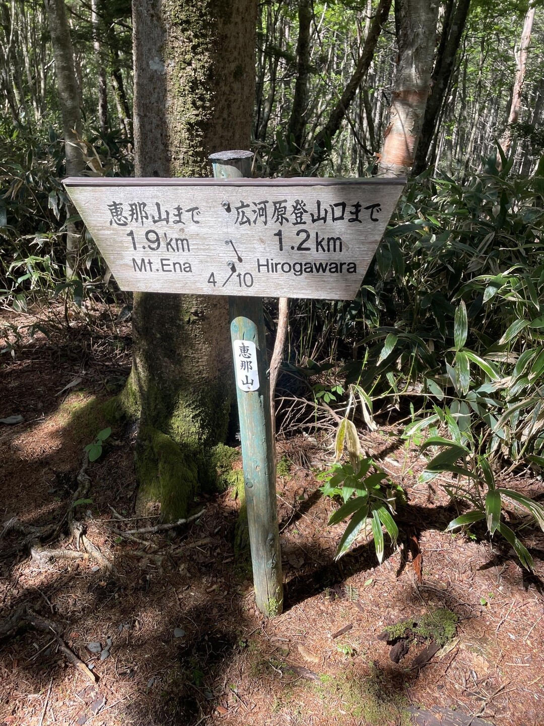 恵那山 / tomさんの恵那山・大判山・神坂山の活動日記 | YAMAP / ヤマップ