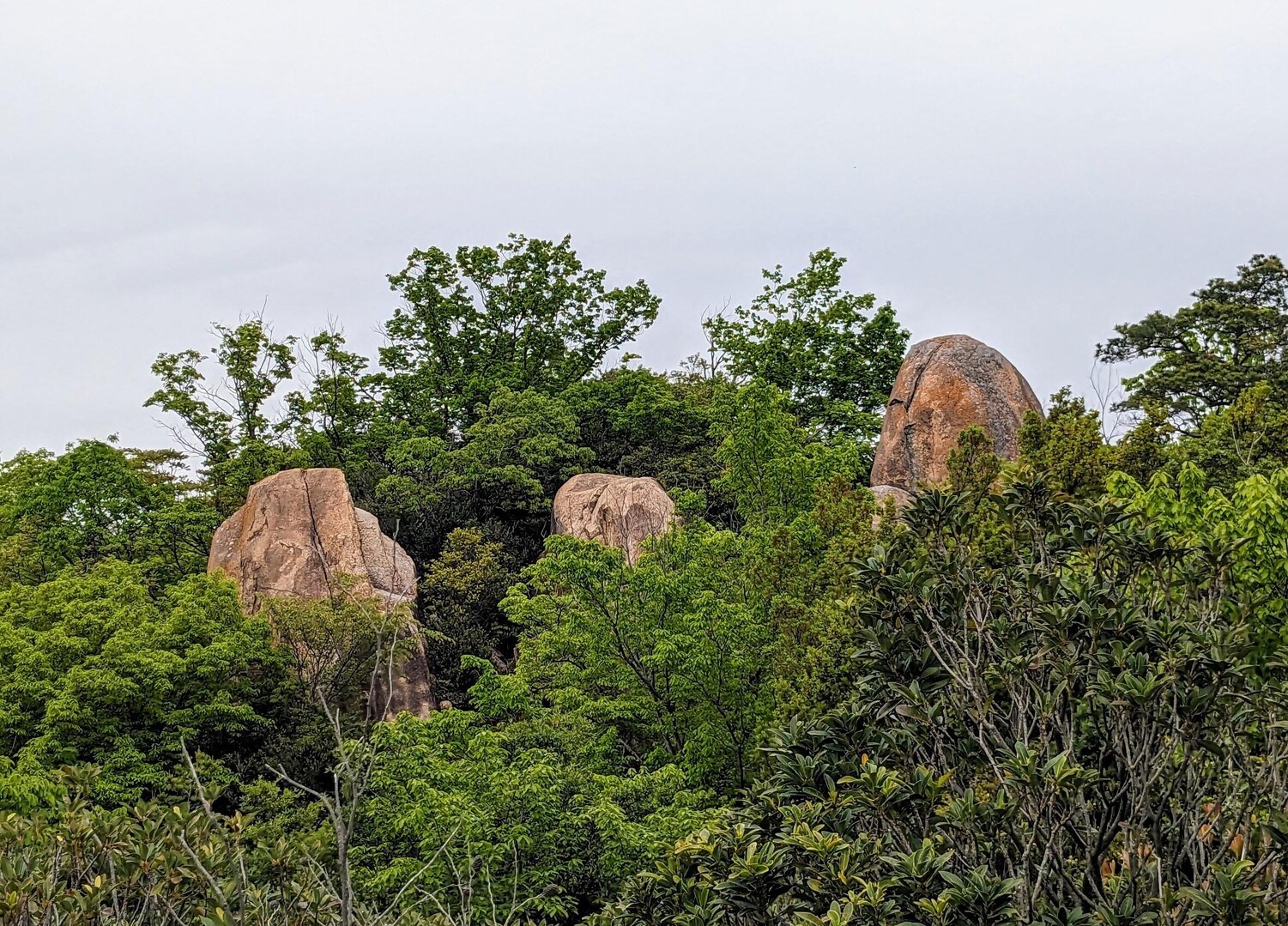 北山ボルダー岩めぐり / 山恋人さんの六甲山・長峰山・摩耶山の活動データ | YAMAP / ヤマップ