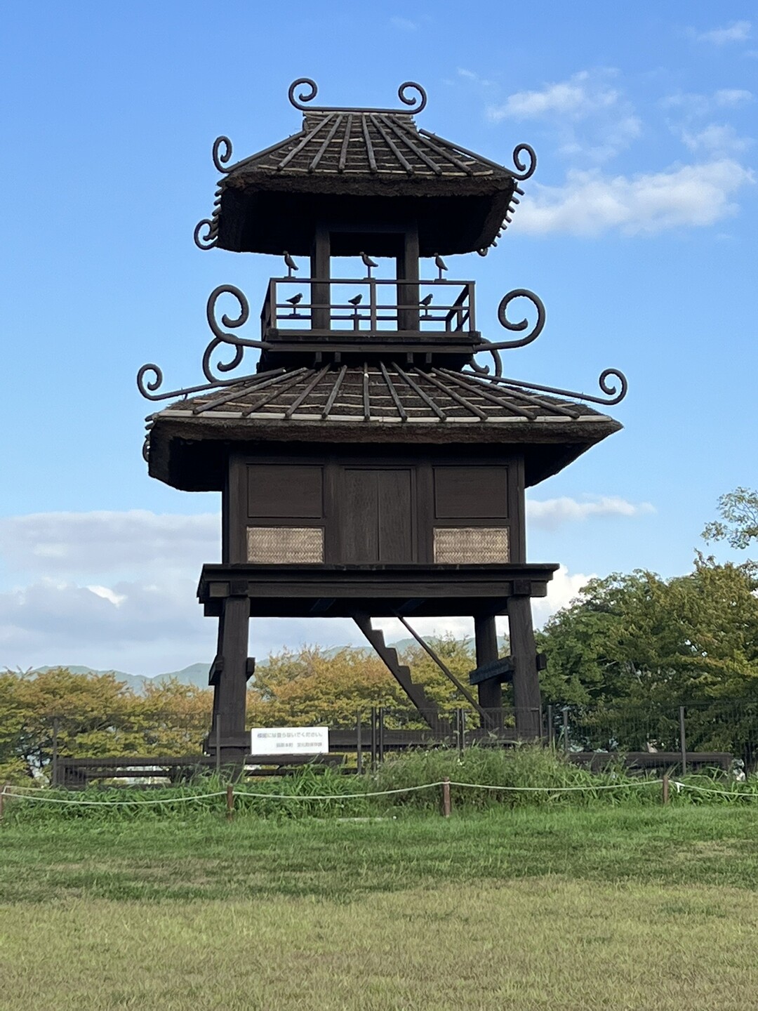 超メジャーな金剛山へ お初 / Naope!さんの金剛山・二上山・大和葛城山の活動データ | YAMAP / ヤマップ