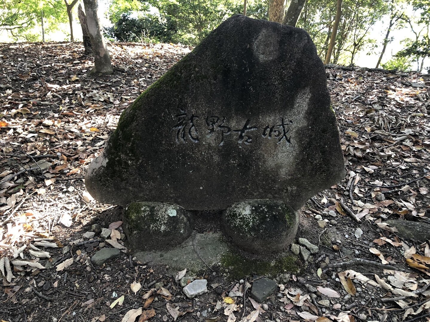 龍野古城 / HASEさんの亀山・鶏籠山・的場山の活動日記 | YAMAP / ヤマップ