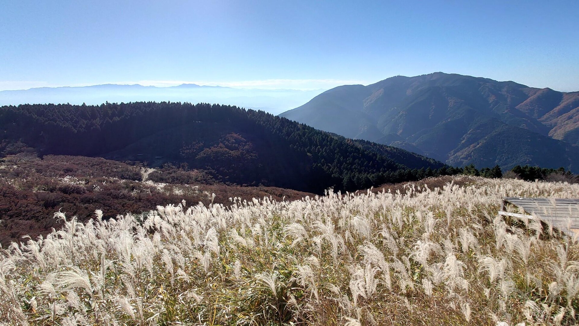 ダイヤモンドトレイル day2 / りゅうくんアウトドアーズさんの金剛山・二上山・大和葛城山の活動データ | YAMAP / ヤマップ