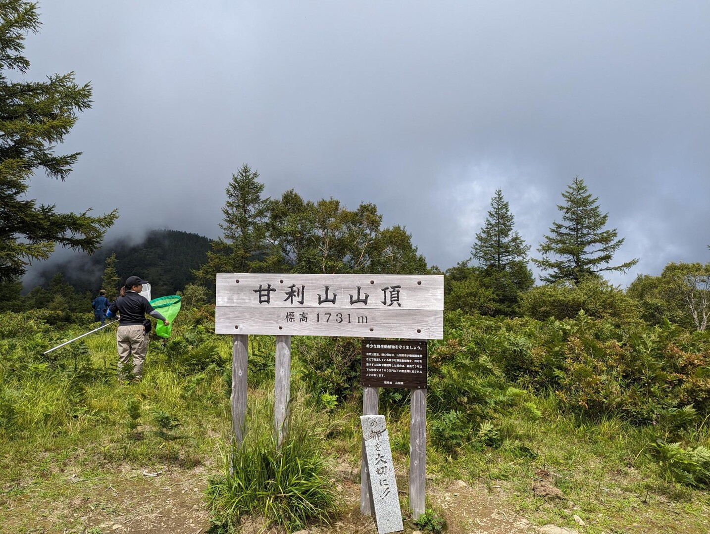甘利山・奥甘利山・大西峰・千頭星山 / hana356さんの鳳凰山・地蔵岳・観音岳・薬師岳の活動データ | YAMAP / ヤマップ