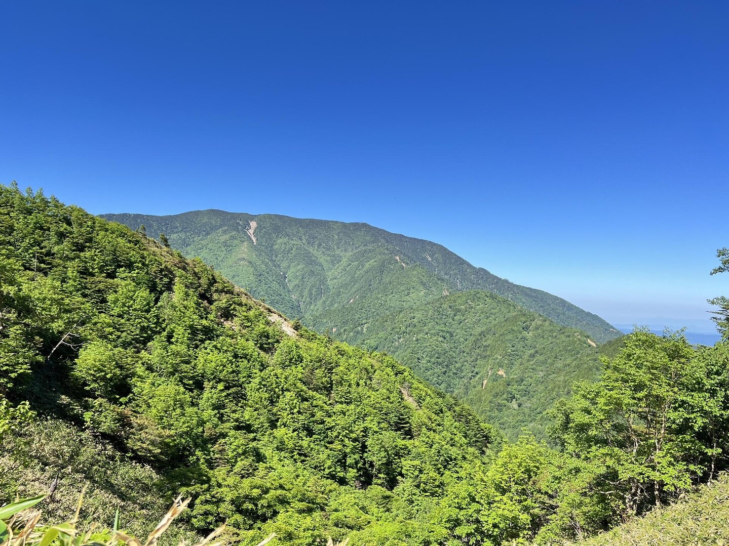 阿智⑦1座目、恵那山⛰️ / medamonさんの恵那山・大判山・神坂山の活動日記 | YAMAP / ヤマップ