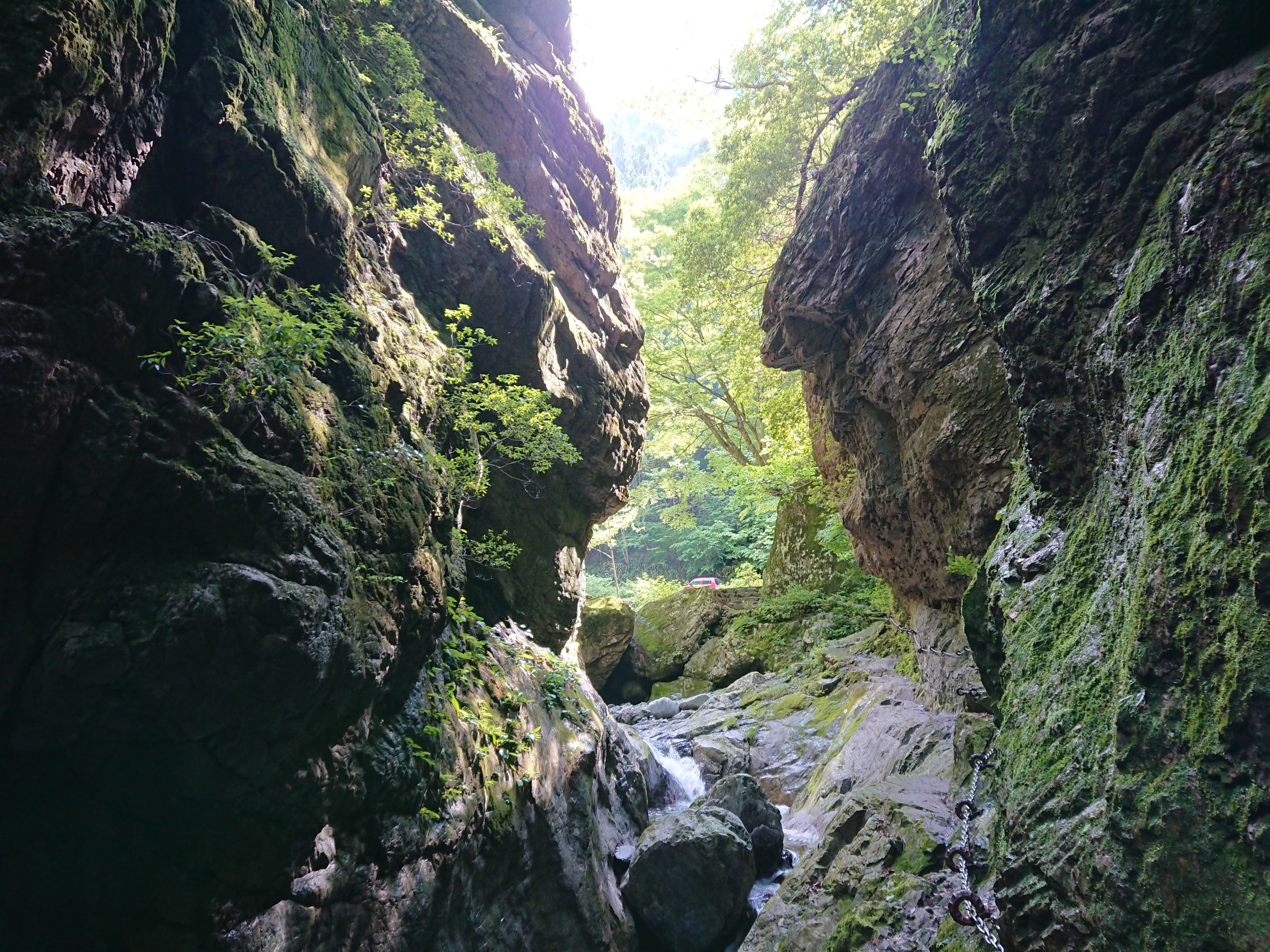 神戸(かのと)岩 東京の天然記念物 ⇒ 鋸山林道 / 矢二郎さんの大岳山・御岳山・御前山の活動データ | YAMAP / ヤマップ