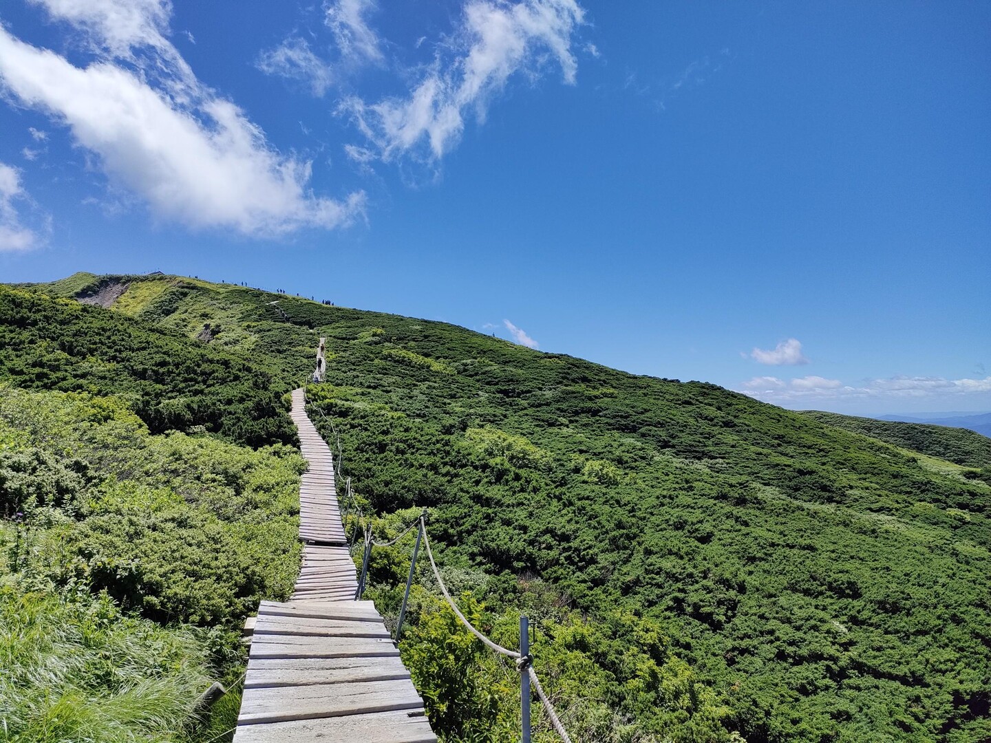 大山（弥山） / kaoさんの大山・甲ヶ山・野田ヶ山の活動データ | YAMAP / ヤマップ