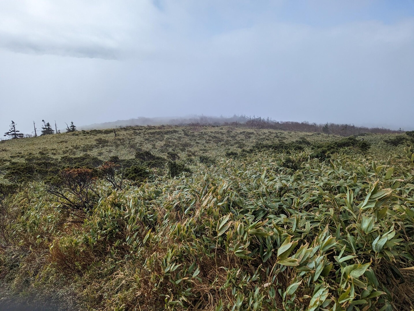 源太ヶ岳・大深岳・小畚山・三ツ石 覘標ノ台・三ッ石山 / sin safaさんの三ッ石山・大深岳・諸桧岳の活動データ | YAMAP / ヤマップ