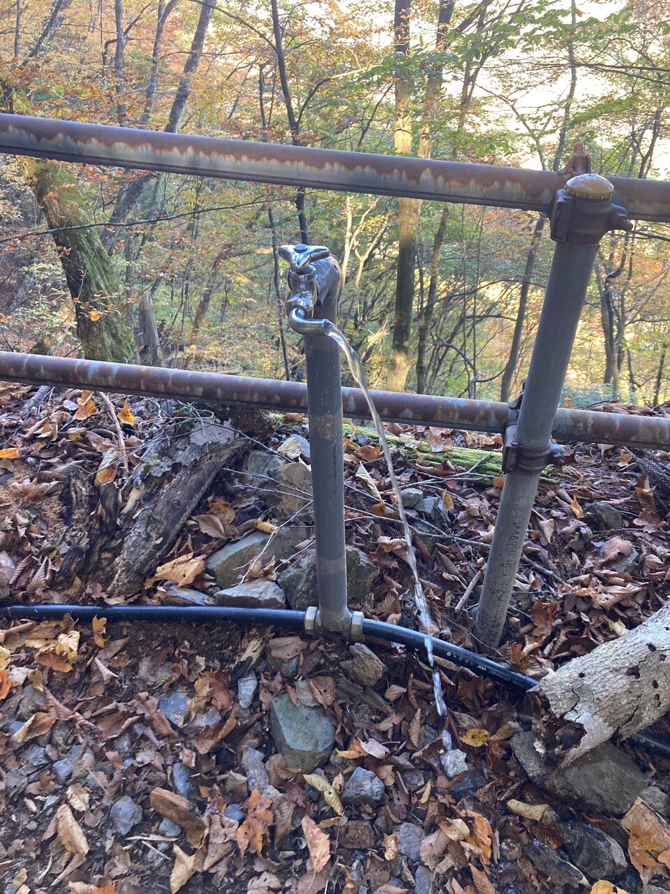 subrosaさんの投稿したフィールドメモ | YAMAP / ヤマップ