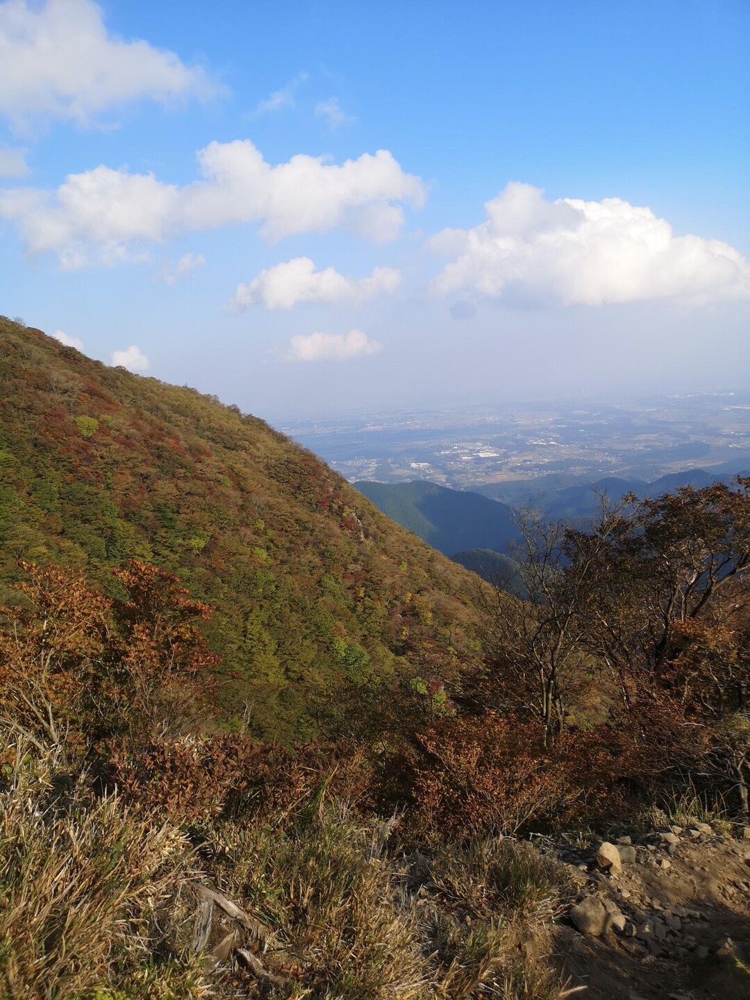 1.7km 滋賀1周トレイル 竜ヶ岳 紅葉確認🍁 / メガネの隊員さんの竜ヶ岳の活動データ | YAMAP / ヤマップ