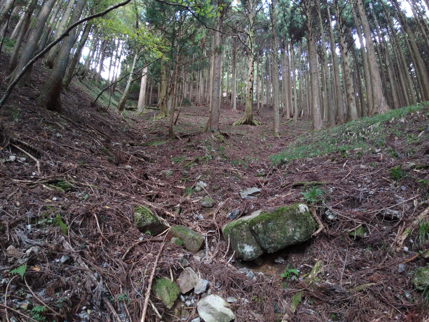 Shinさんの投稿したフィールドメモ | YAMAP / ヤマップ