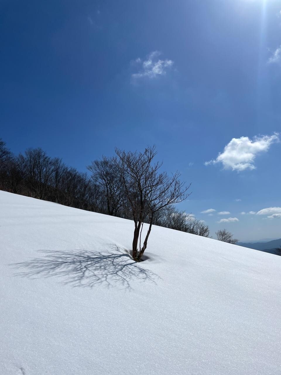 senachanのページ | YAMAP / ヤマップ