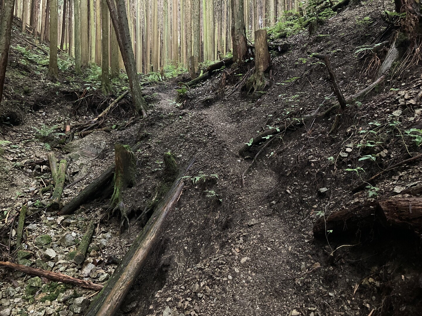 kazz309さんの投稿したフィールドメモ | YAMAP / ヤマップ