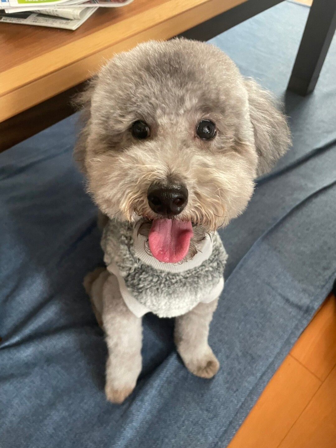 tomoのページ | YAMAP / ヤマップ