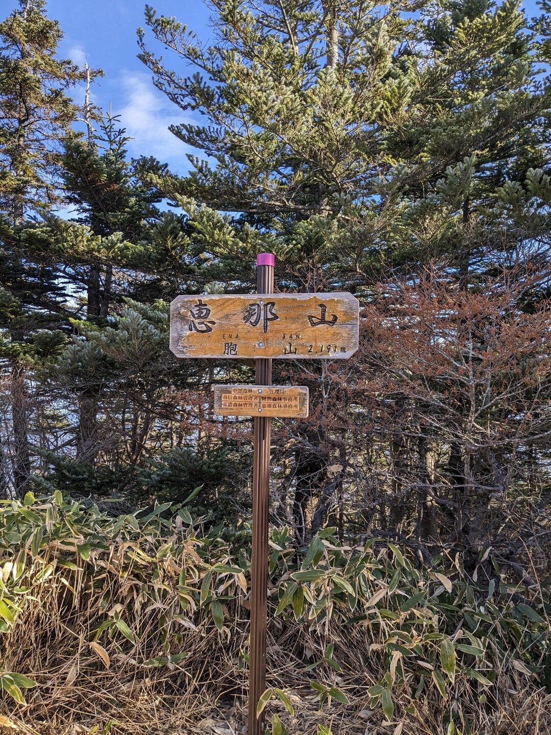 恵那山・大判山・千両山・富士見台・神坂山 / yasu1979さんの恵那山・大判山・神坂山の活動データ | YAMAP / ヤマップ