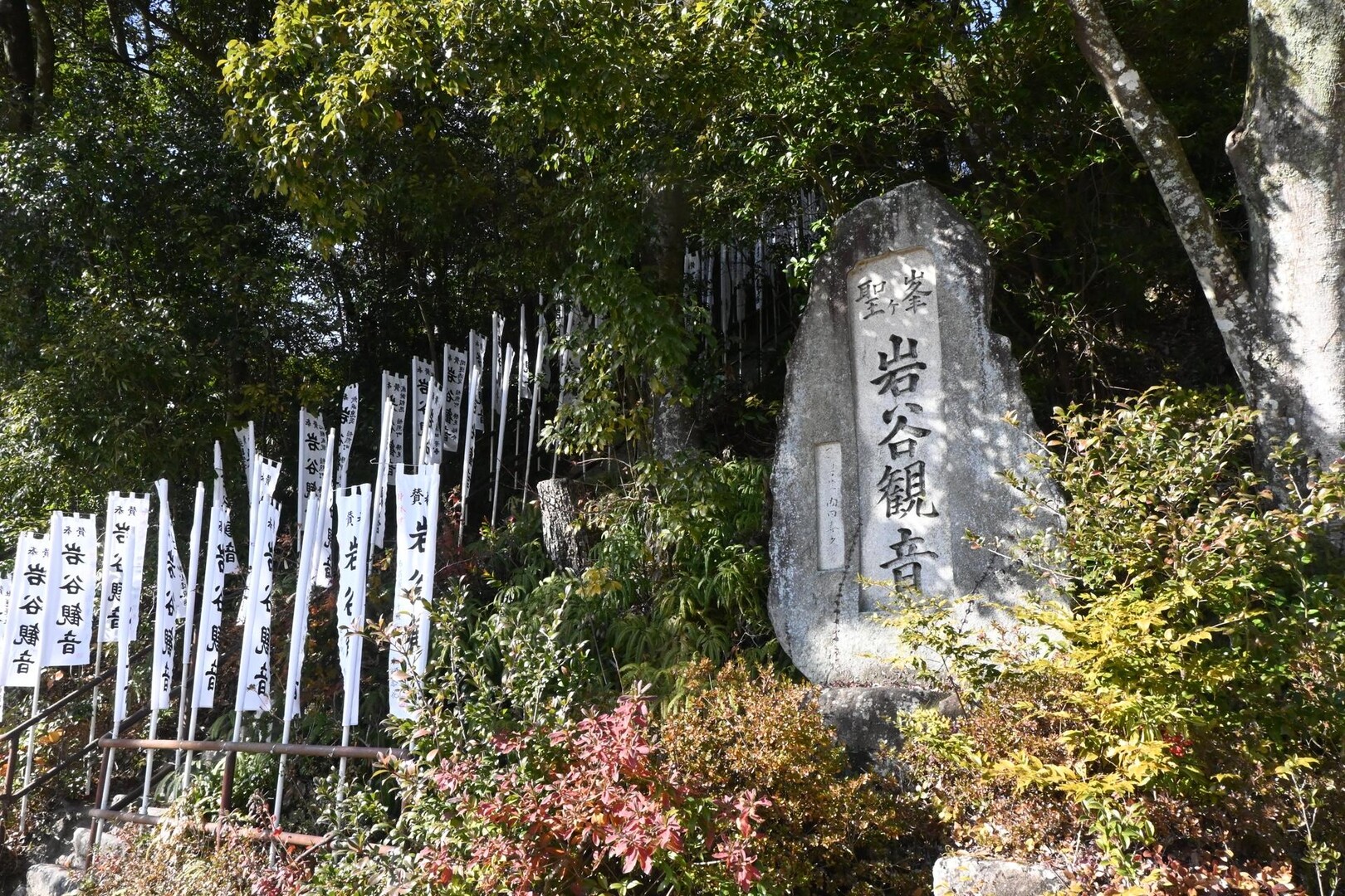 登り初め③ / Naope!さんの聖ヶ峰の活動データ | YAMAP / ヤマップ