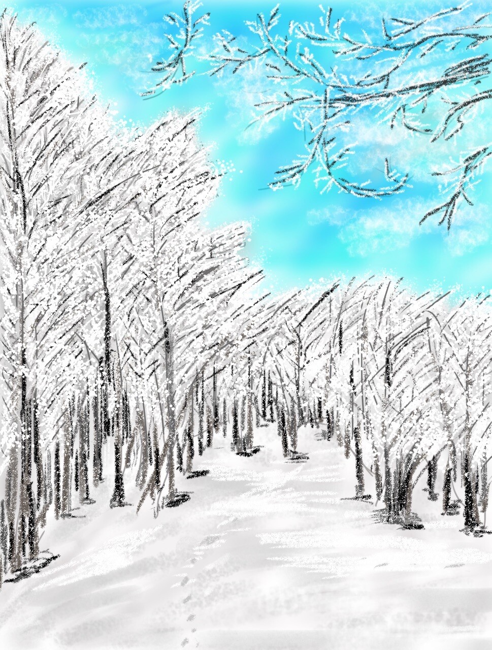 白き樹が 春の日差しに 煌めいて 広がる... / clearkkさんのモーメント | YAMAP / ヤマップ