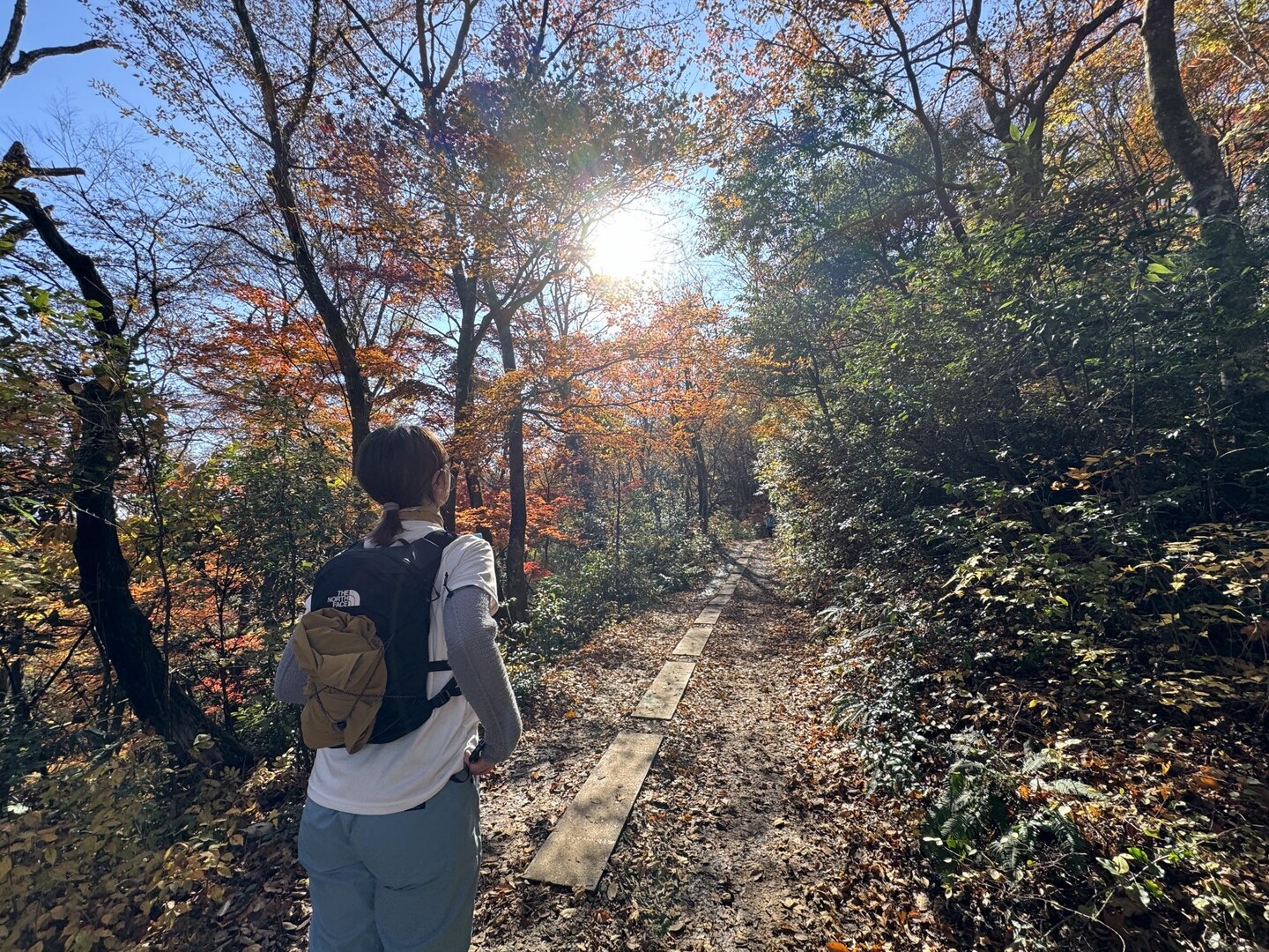 文殊山はめっちゃ秋♪1MJ / NAOZOさんの文殊山の活動データ | YAMAP / ヤマップ