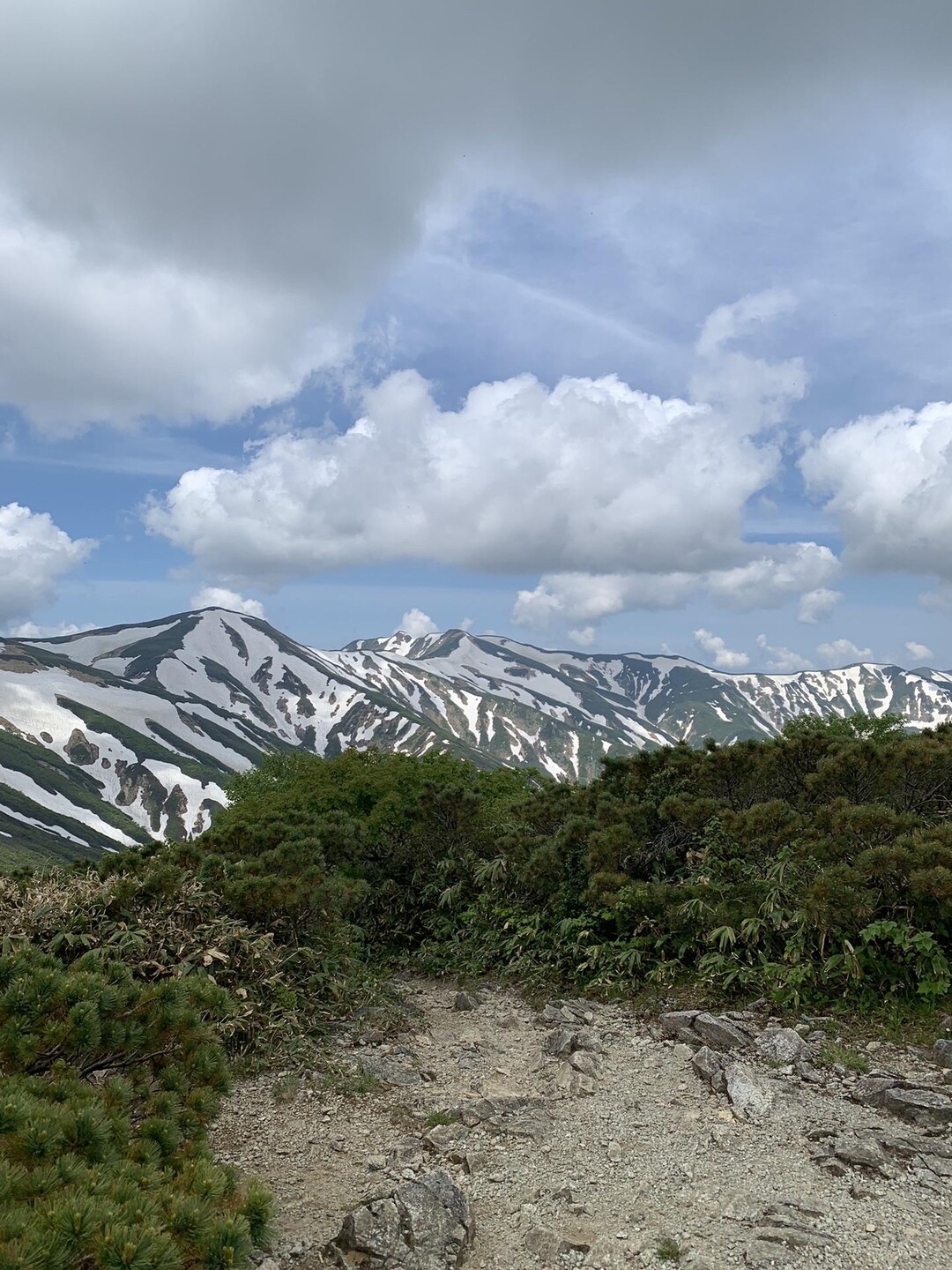 大朝日岳・小朝日岳・鳥原山 / TKSNDさんの大朝日岳・朝日連峰・祝瓶山の活動日記 | YAMAP / ヤマップ