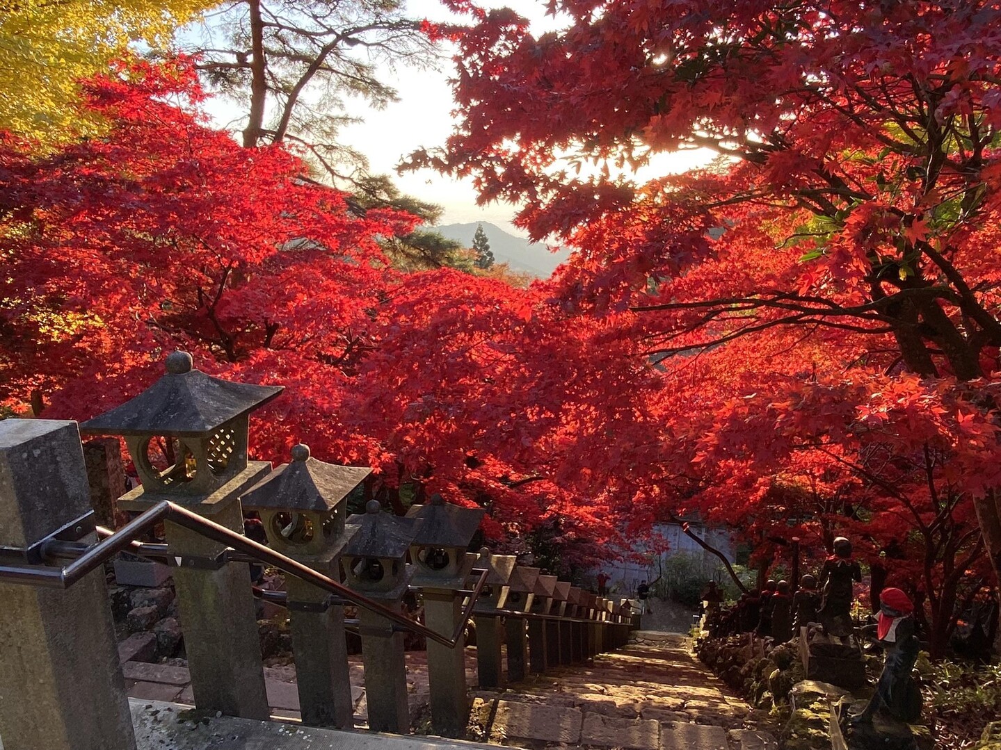 大山 女坂〜表参道～山頂〜表参道〜女坂〜大山寺〜女坂 / zyさんの大山の活動データ | YAMAP / ヤマップ