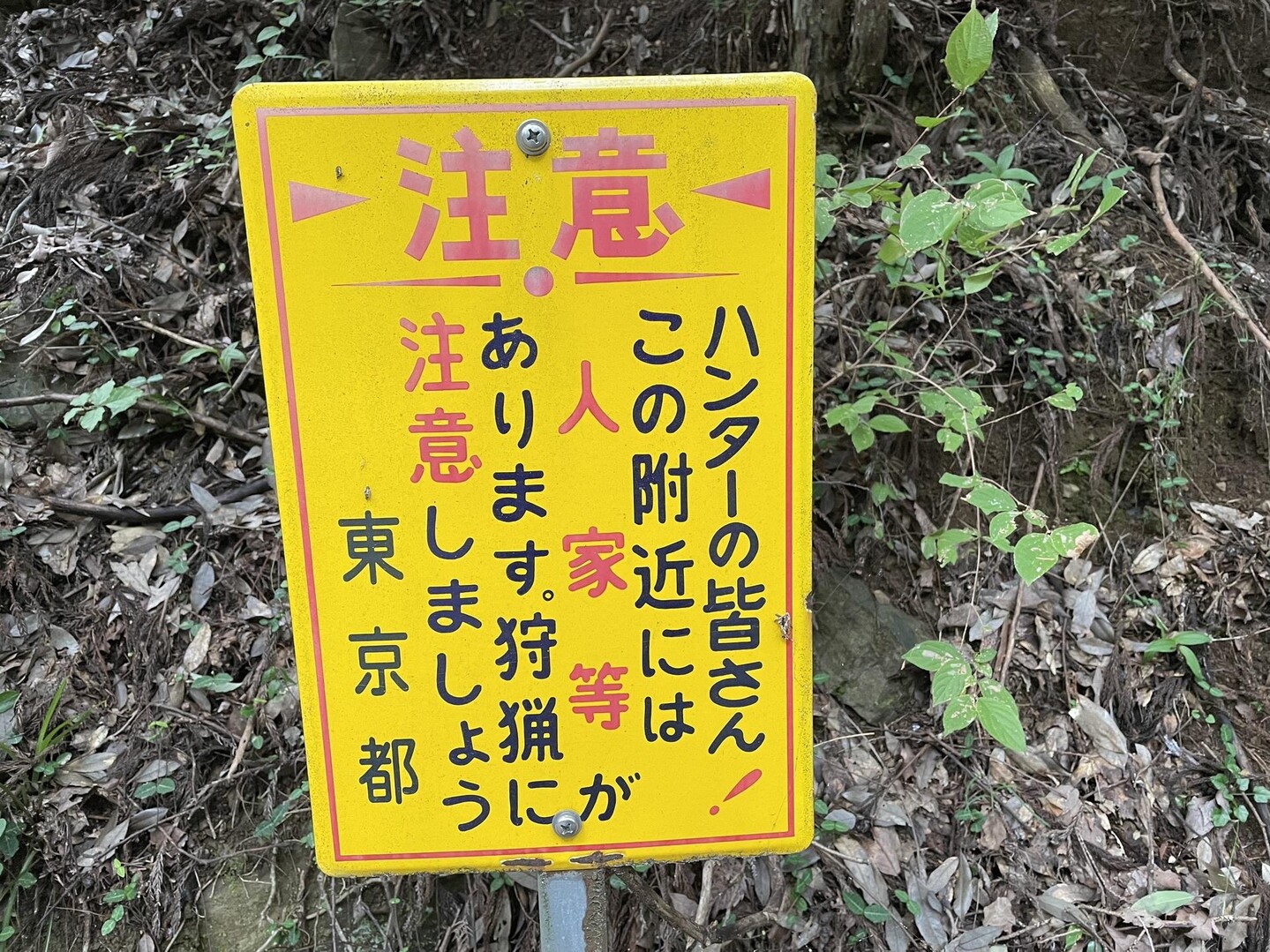 羽黒山・絹笠山(はぐろやま・きぬがさやま） / こけし大明神さんの大岳山・御岳山・御前山の活動データ | YAMAP / ヤマップ