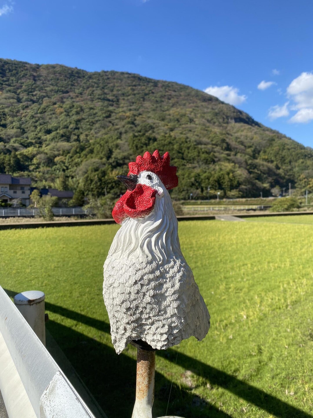 秋峰と香春バッジのついでに20座hunt縦走 ️「大坂山、障子ヶ岳他」 / alzclimberひろさんの大坂山（飯岳山）・障子ヶ岳の活動データ | YAMAP / ヤマップ