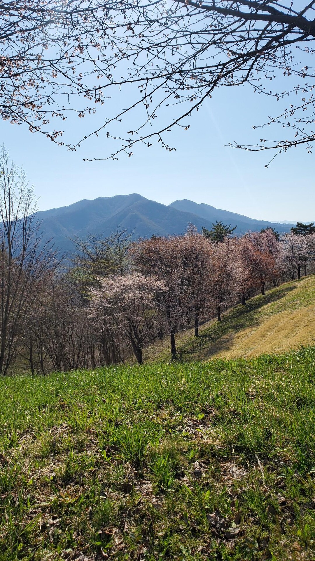 ⏩️県立ぐんま天文台 / totoさんのウォーキングの活動データ | YAMAP / ヤマップ