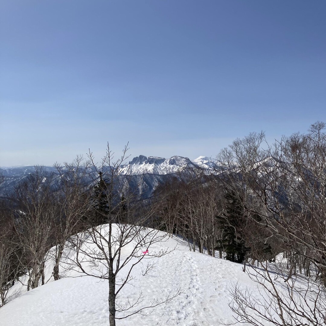 奥手稲山・サンデーユートピア・ユートピア・つげ山 / TANさんの手稲山・奥手稲山の活動データ | YAMAP / ヤマップ