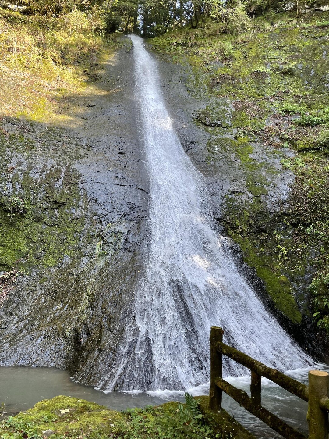権現山① / fumiさんの権現山の活動データ | YAMAP / ヤマップ