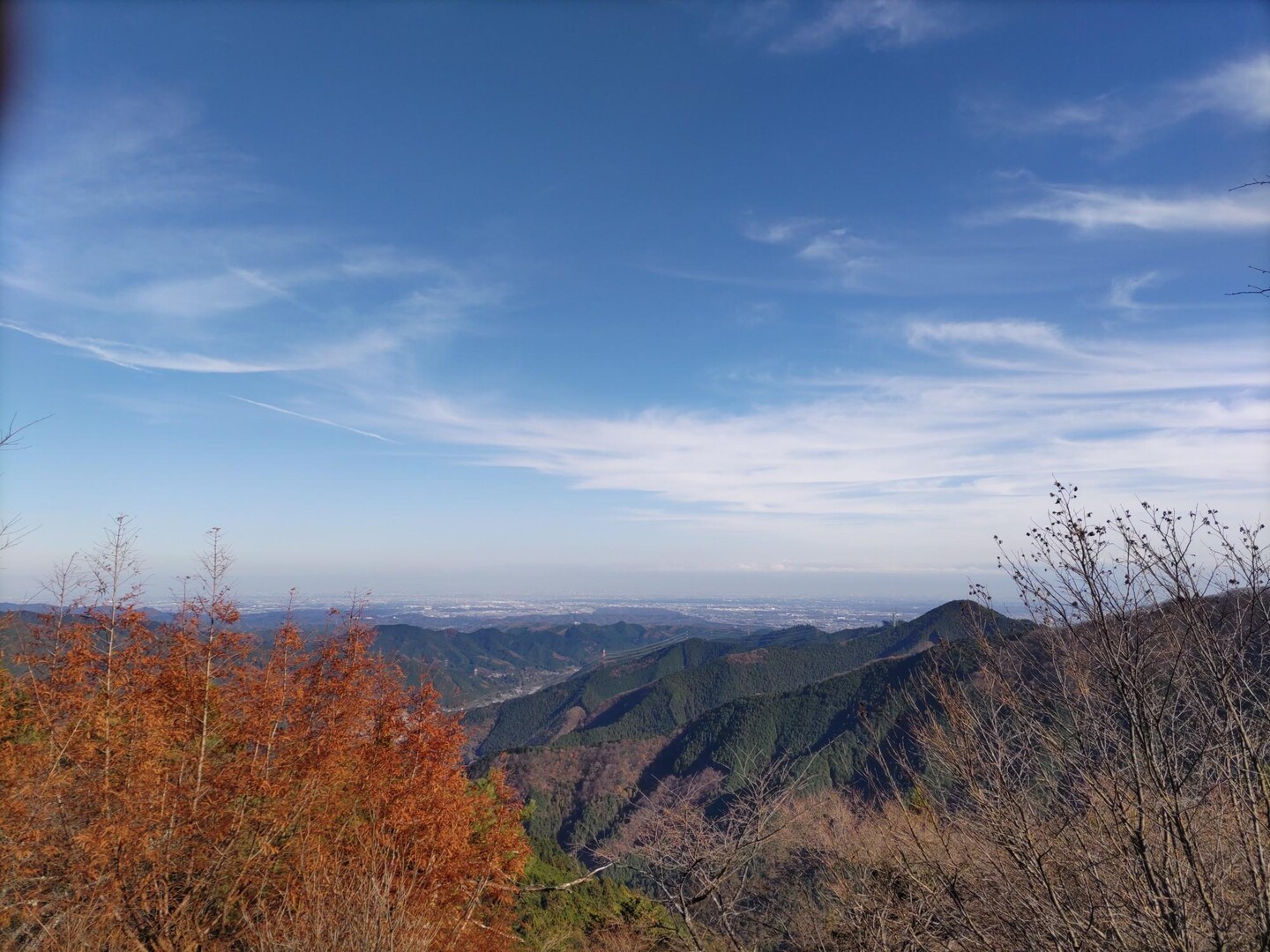 奥多摩御岳山Now~ / AUTUMUN777さんの大岳山・御岳山・御前山の活動日記 | YAMAP / ヤマップ